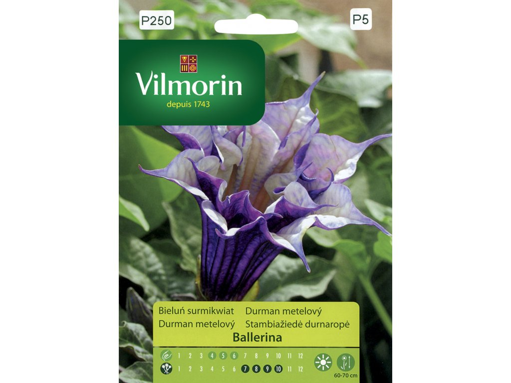 Semena okrasných rostlin